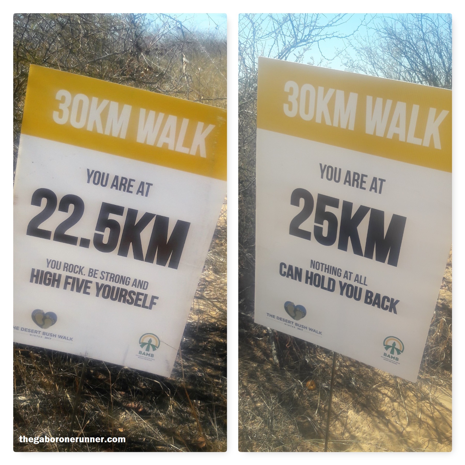 Jwaneng Desert-Bush Walk 30k, Race Recap (#8/17) – The Gaborone Runner
