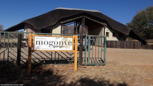 Hiking With The Kids In Mogonye – The Gaborone Runner