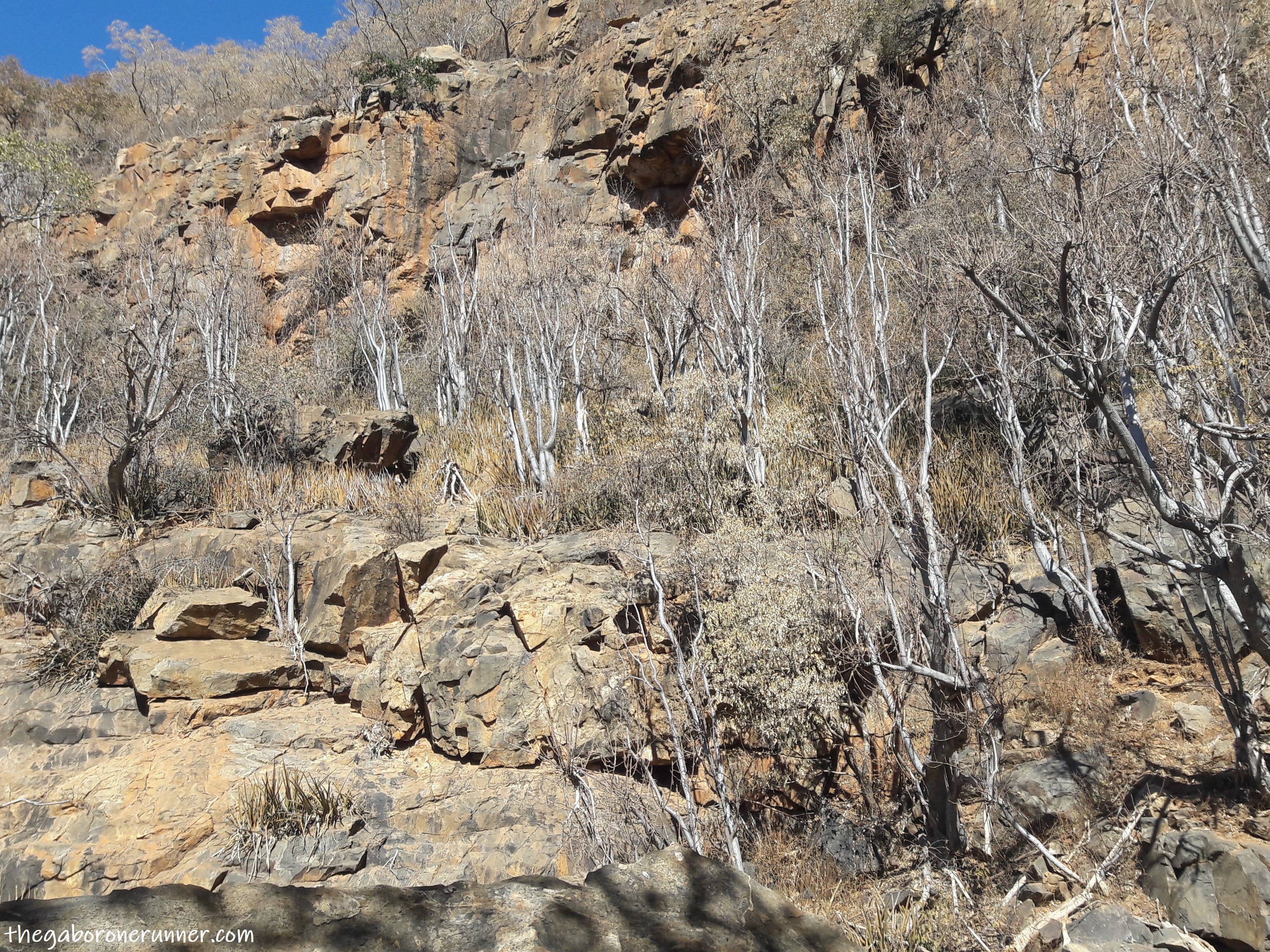 Hiking With The Kids In Mogonye – The Gaborone Runner