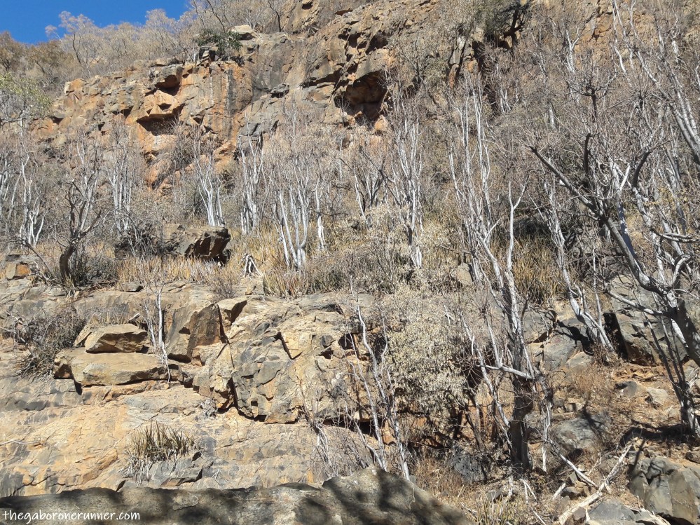 Hiking With The Kids In Mogonye – The Gaborone Runner