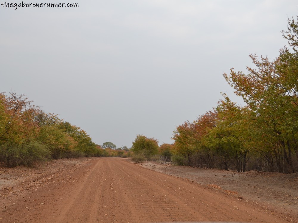 Our Adventure In Goo-Moremi Gorge – The Gaborone Runner