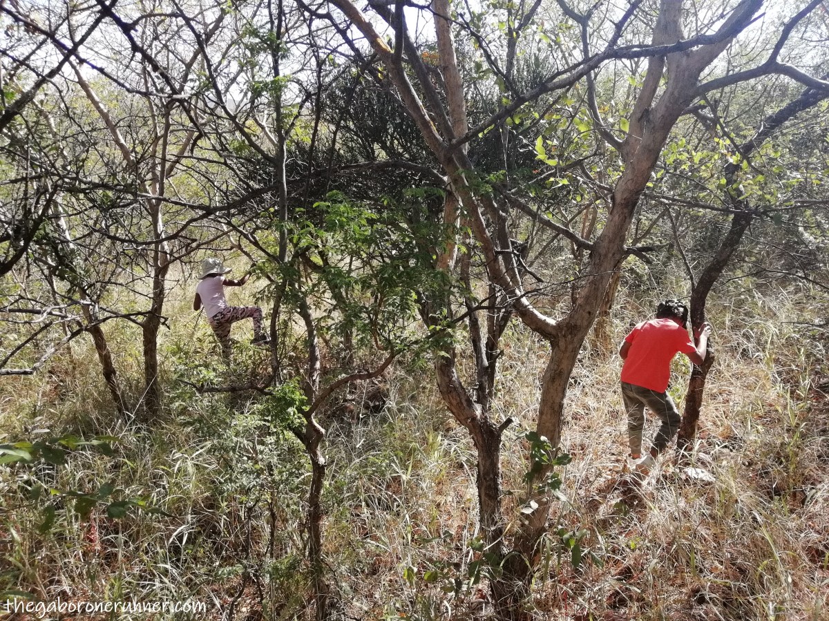 Will Our Kids Ever Hike With Us Again?! – The Gaborone Runner