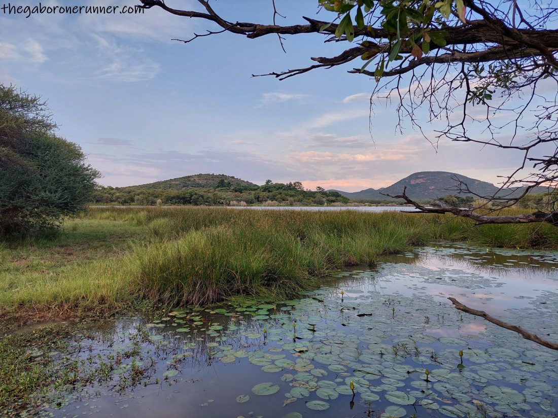 Trail Running In Mokolodi Nature Reserve – The Gaborone Runner