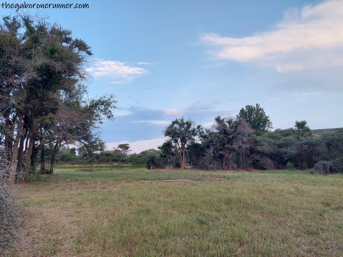 Trail Running In Mokolodi Nature Reserve – The Gaborone Runner