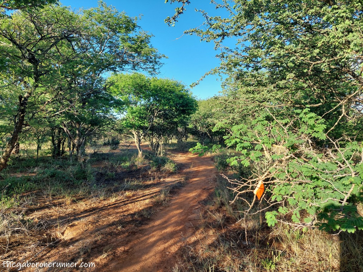 Trail Running In Tlokweng – The Gaborone Runner