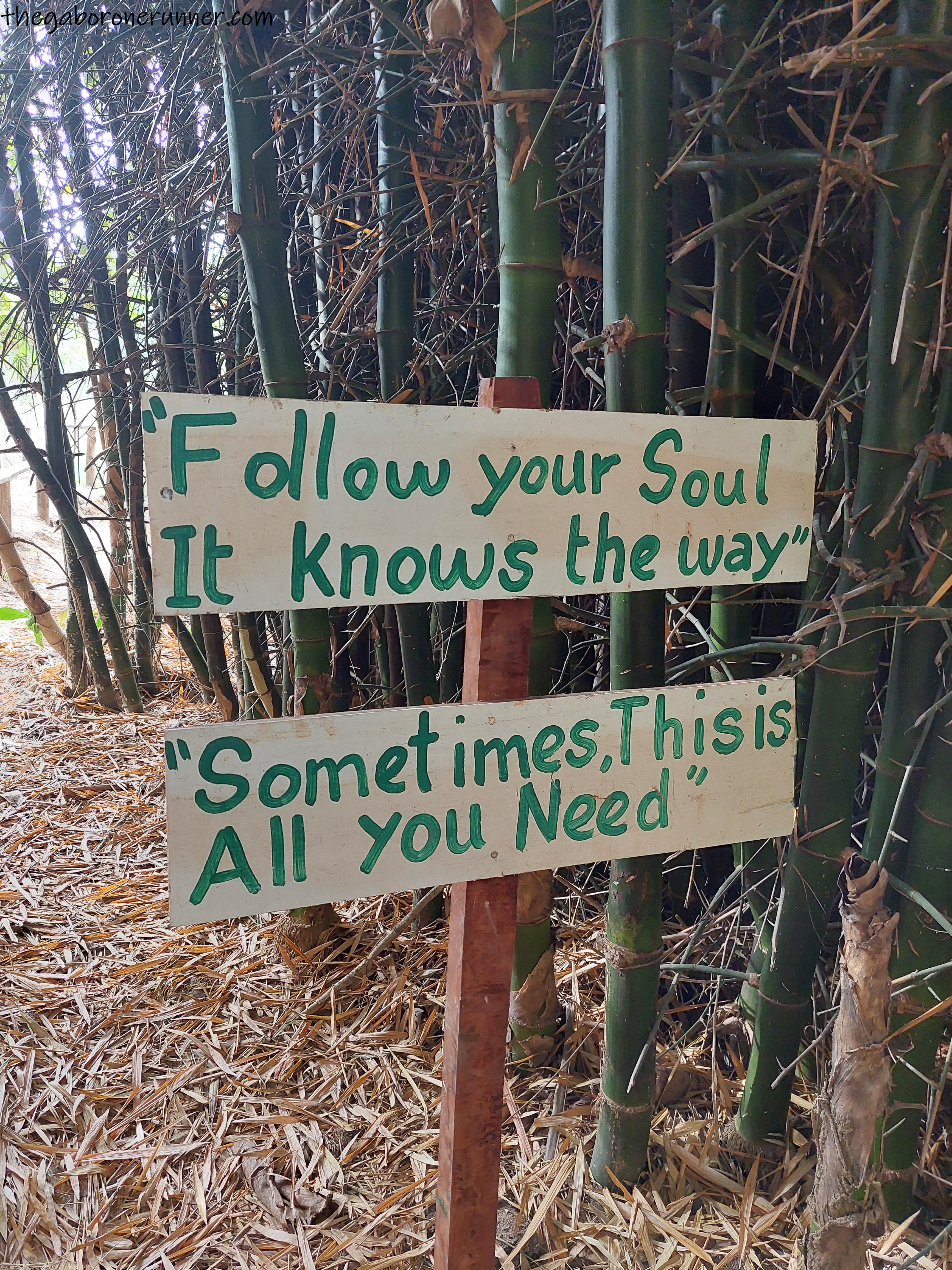 Exploring Pugu Hills in Tanzania – The Gaborone Runner